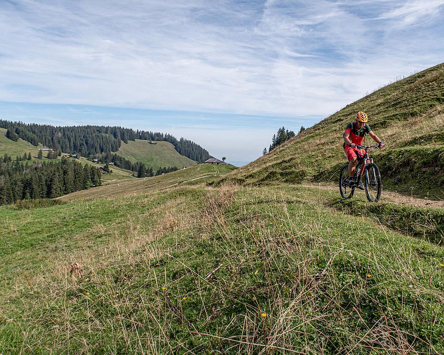 Höhenprofil anzeigen