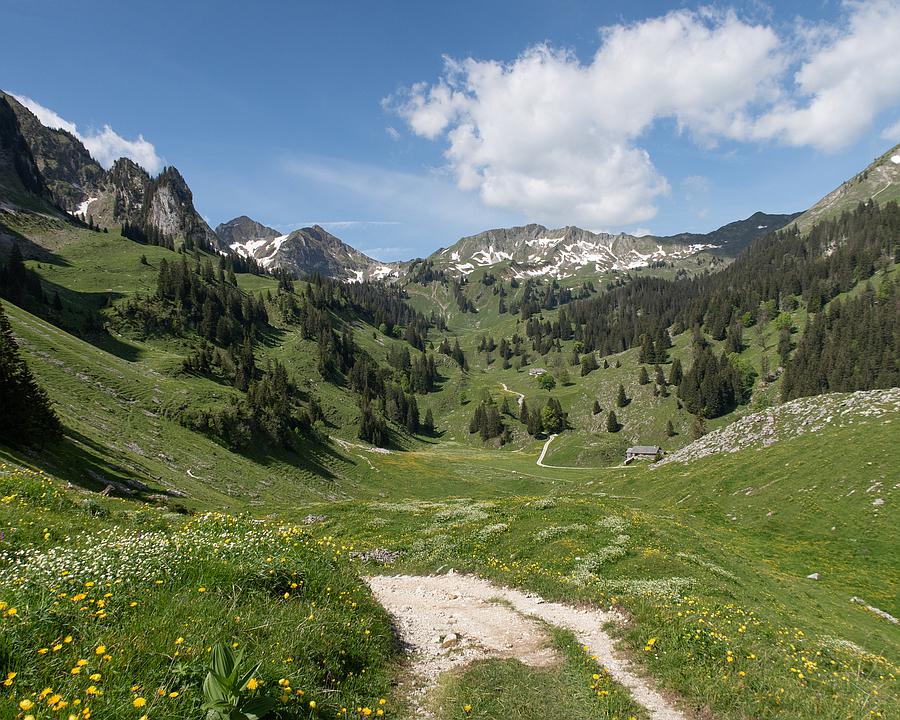 Höhenprofil anzeigen