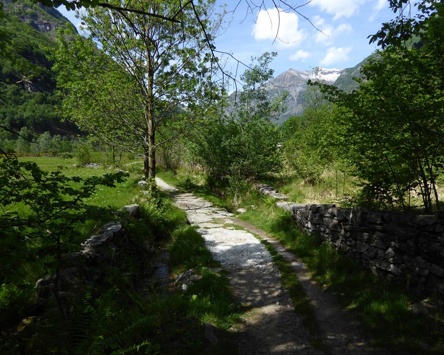 Höhenprofil anzeigen