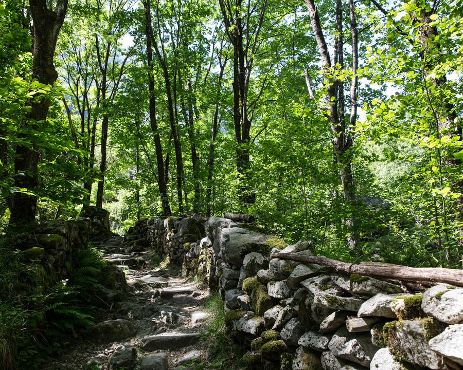 Höhenprofil anzeigen