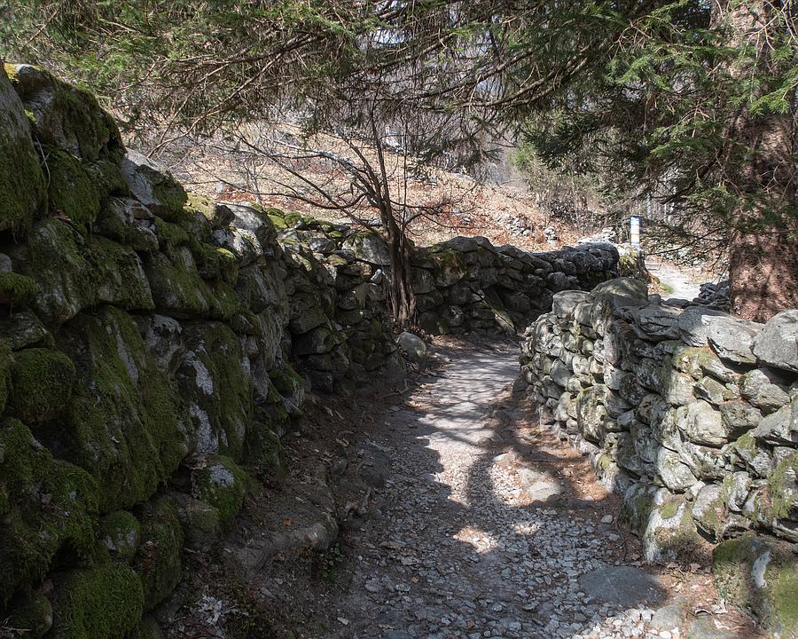 Höhenprofil anzeigen