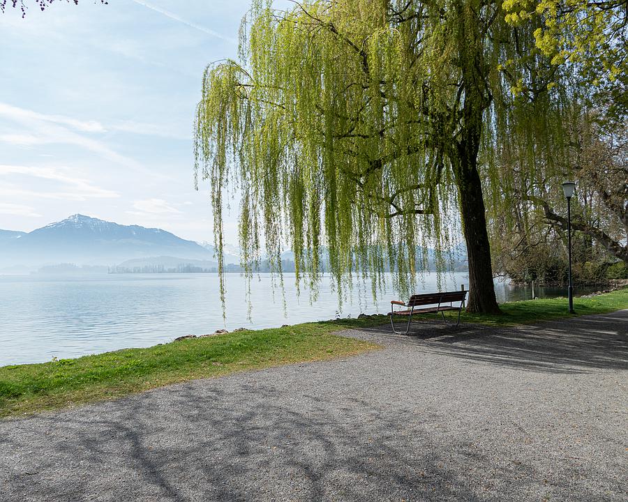 Höhenprofil anzeigen