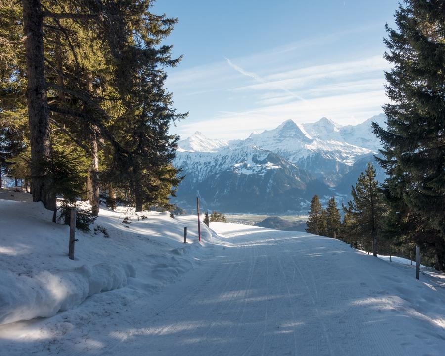 Höhenprofil anzeigen