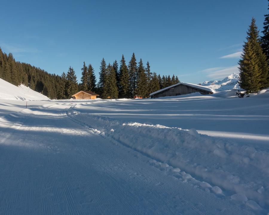 Höhenprofil anzeigen
