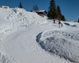 Höhenprofil anzeigen