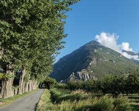 Afficher profil en long