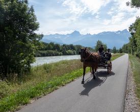 Afficher profil en long