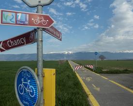 Afficher profil en long