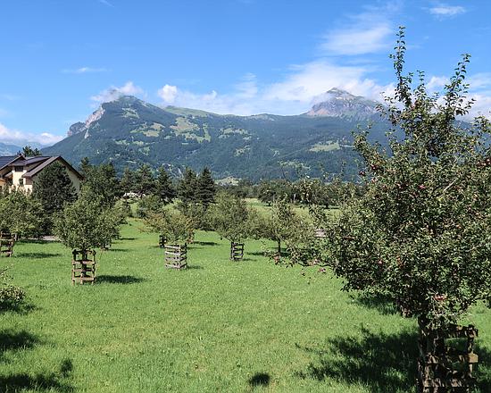 Gute Nachrichten für alle, die gerne in die Pedale treten: Die EuroVelo ...